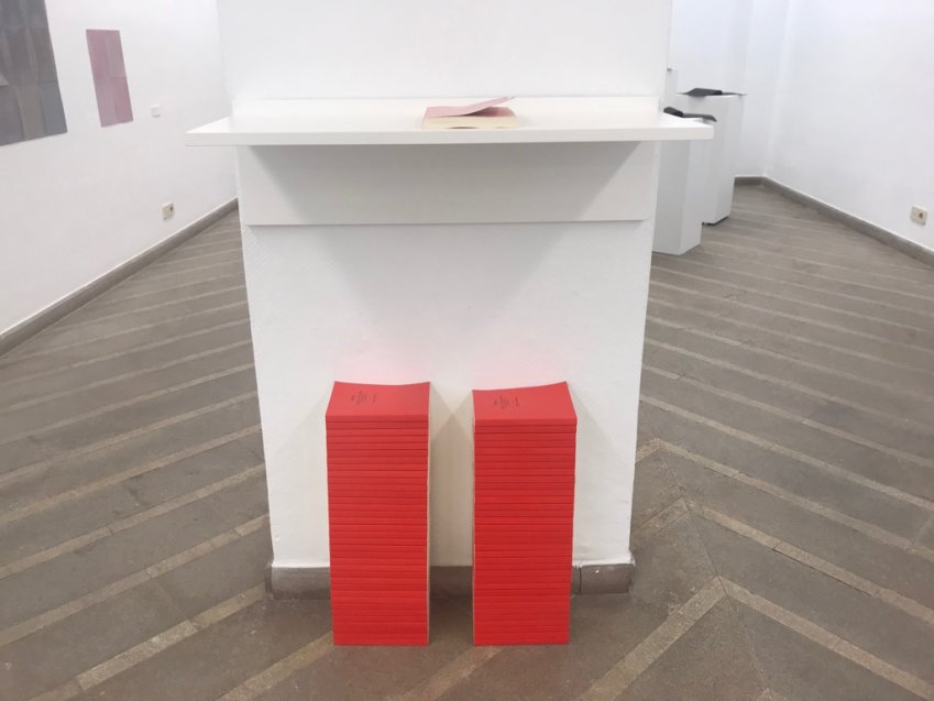 HACER VER Alexandra Garcia Pascual | CANEM GALLERIA